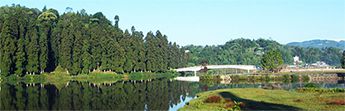 Mirik Tourist Spot | Places to Visit in Mirik