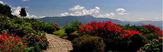 Durpin Dara Hill in Kalimpong- Complete Travel Guide