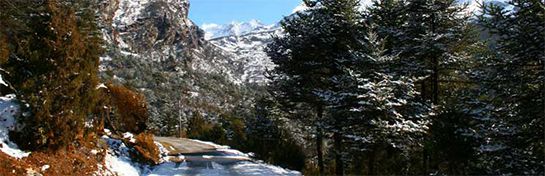 7 Best Places to Visit in North Sikkim | Top Attractions